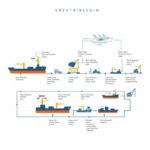 Understanding the Shipbuilding Process Flow: From Design to Launch ...